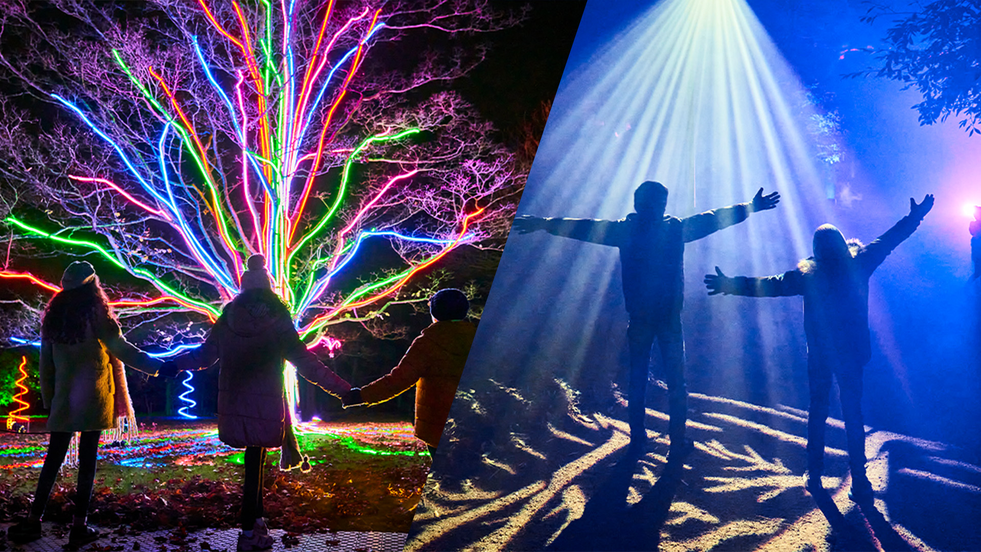 Melbourne Gets Very First Immersive Light Show Experience