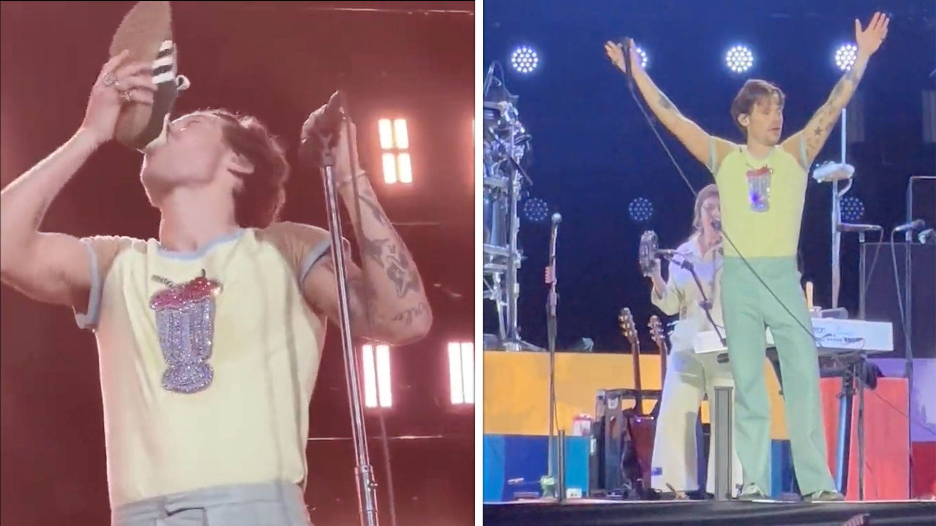 Watch Harry Styles Sing Daryl Braithwaite's 'Horses' At His First ...