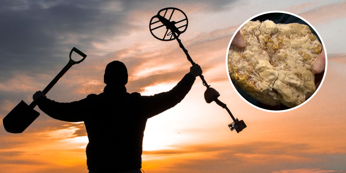 Budget Metal Detector Discovers $240k Gold Nugget in Rural Victoria