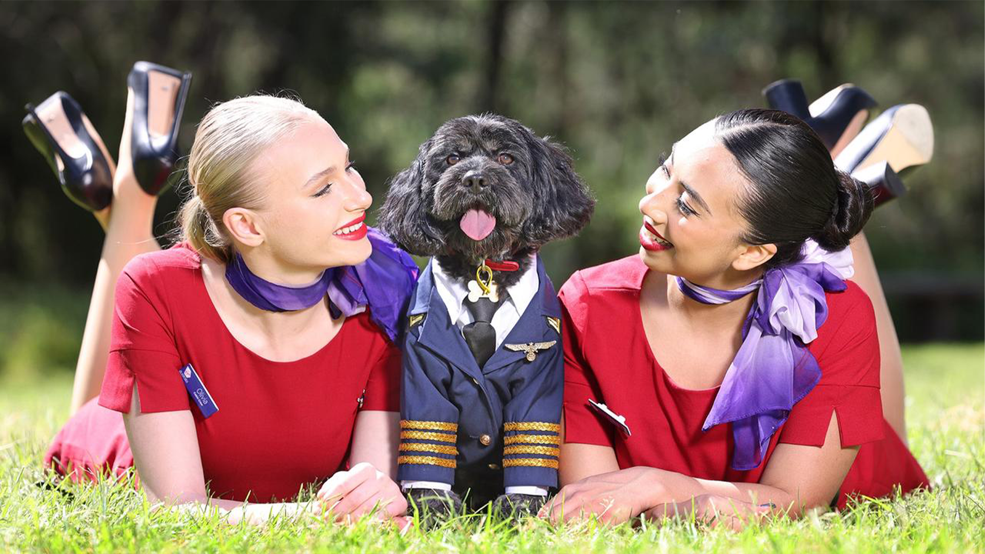 Virgin Australia Announces Plans To Welcome Pets Onboard Flights!