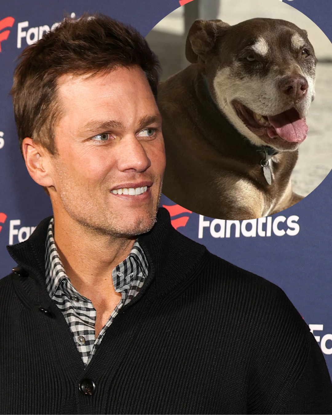 Tom Brady Reveals His Dog Junie Is A Genetic Clone Of His Late Dog That ...